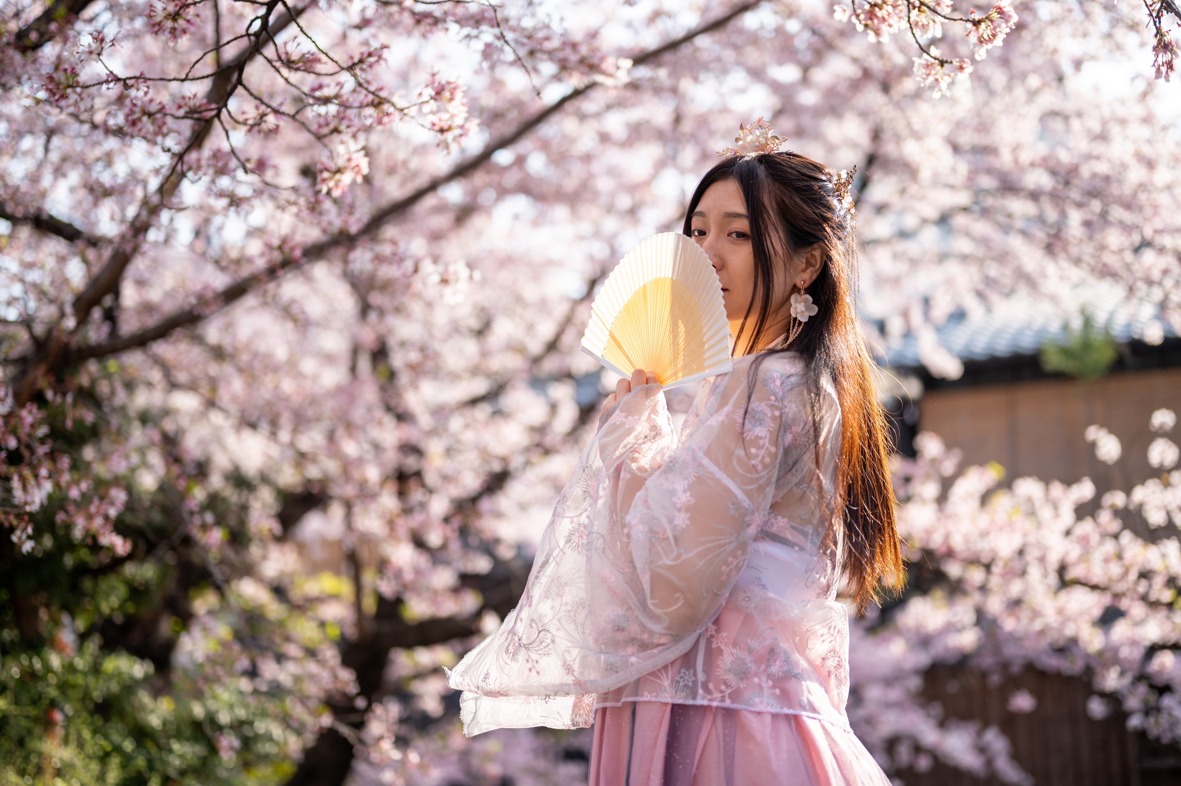 Aimi / 今日の被写体 | Aimi / 被写体図鑑