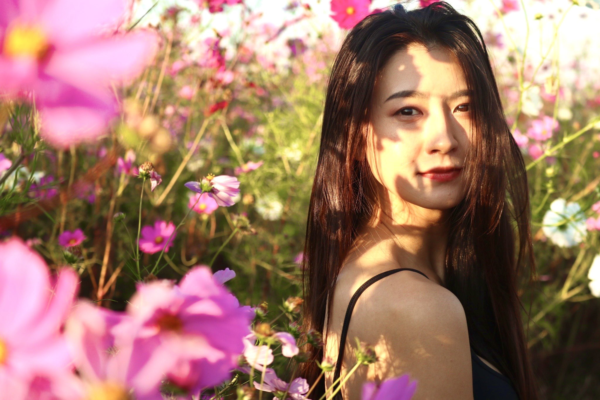 Aimi / 今日の被写体 | Aimi / 被写体図鑑